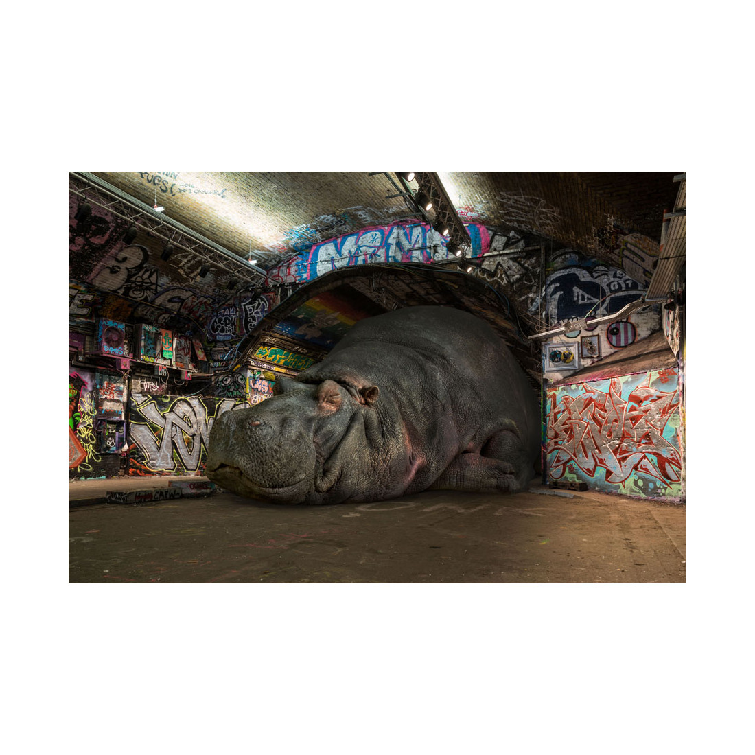 stadtecken® Hippo London